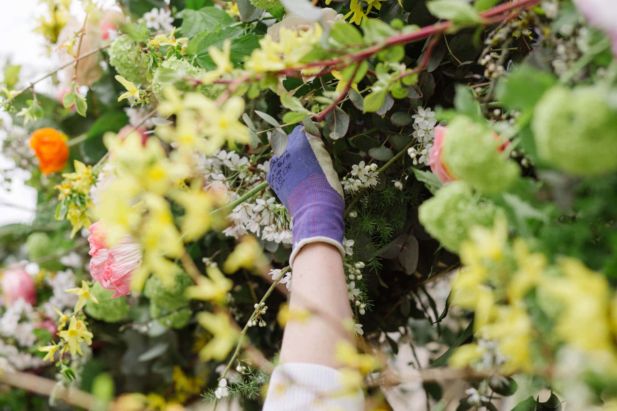 Gallery - Fall into Flowers